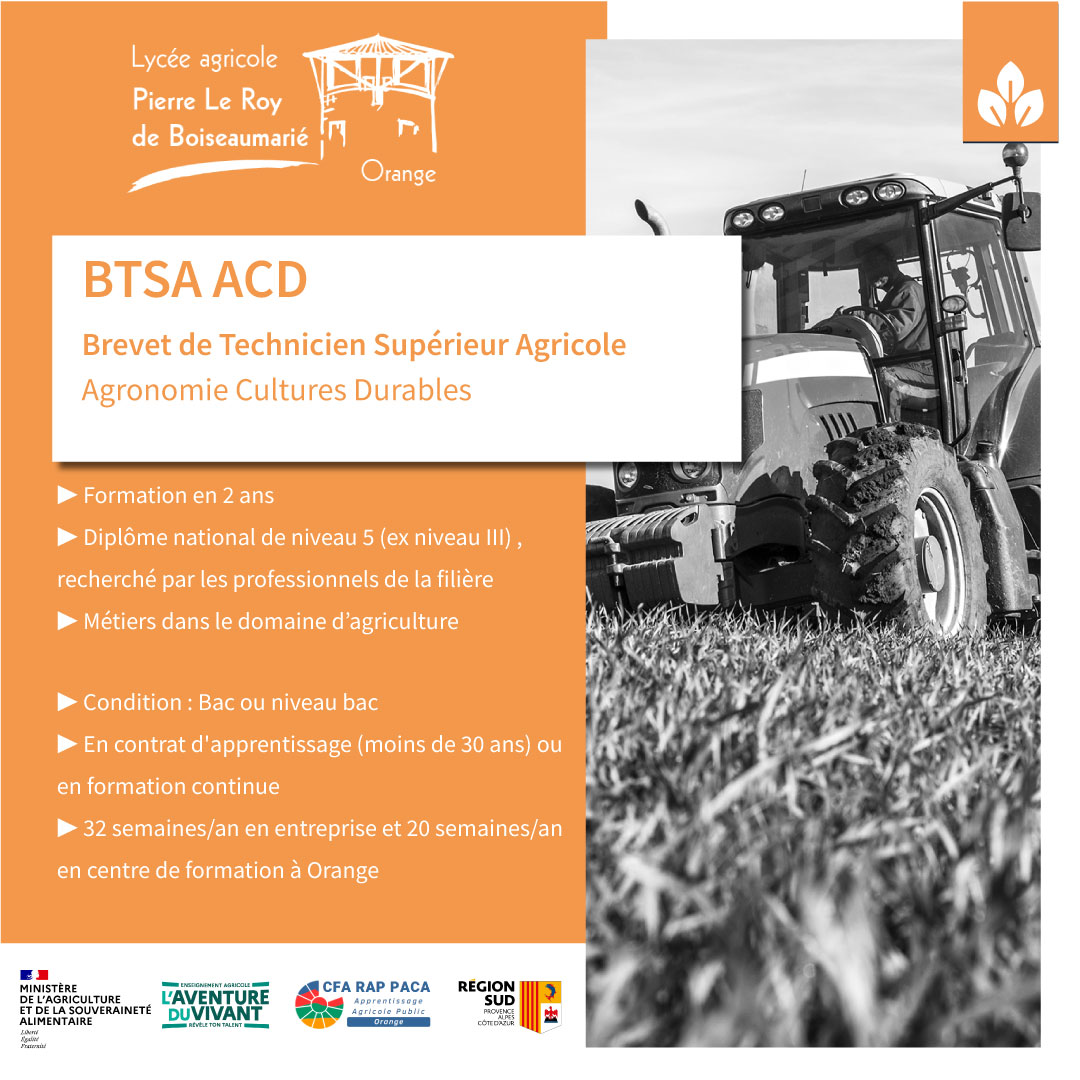 Lycée Pierre Le Roy de Boiseaumarié - Actualités